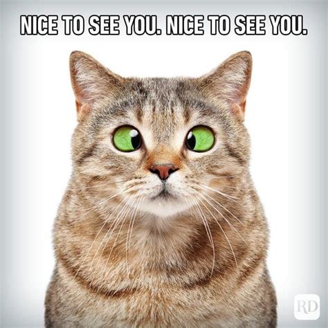 Bilal Awan On Linkedin Binary Tree 30