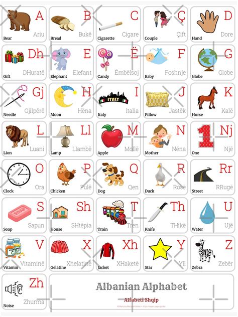 Albanian Alphabet Chart With Words And English Translations Printable Art Albanian Language