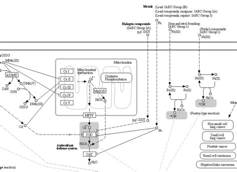 433 Questions With Answers In SIGNALING PATHWAYS Science Topic