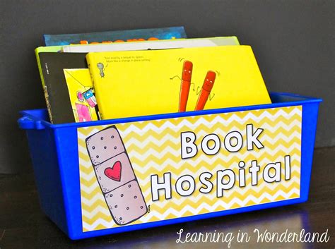 Sterilite Organized Classroom Learning In Wonderland