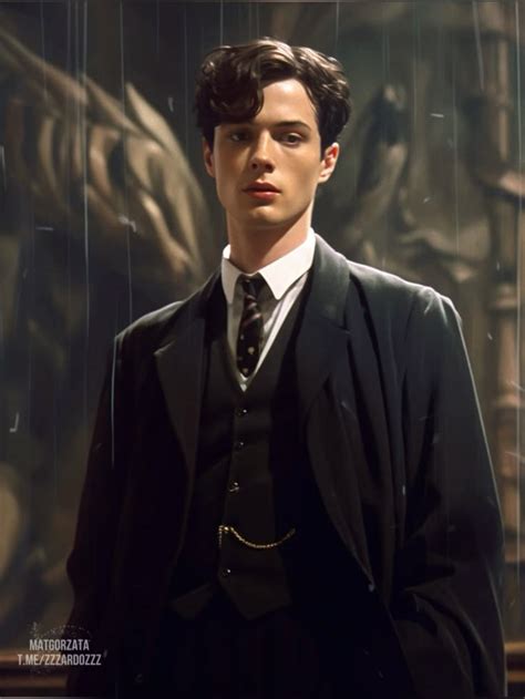 Tom Riddle Гарри поттер Слизерин Хогвартс
