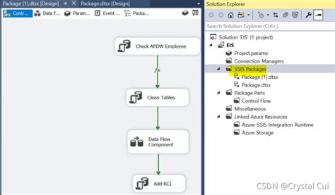 Ssis运用入门 源码巴士