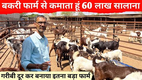 1 बकरी से बना डाली 300 बकरी की गोट फैक्ट्री Goat Farm Tour Goat