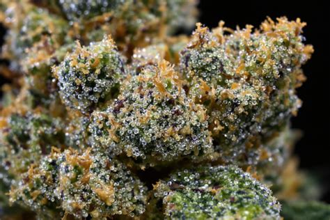 What Is Thcv Explained Differences Effects And Smart Use Myriam