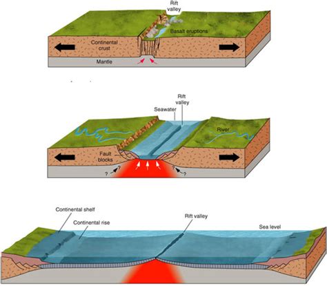 Plate Tectonics Flashcards Quizlet
