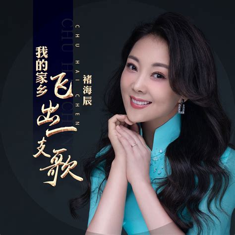 我的家乡飞出一支歌 褚海辰 高音质在线试听 我的家乡飞出一支歌歌词 歌曲下载 酷狗音乐