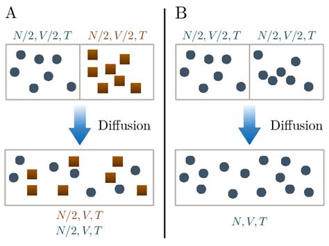 Mixing Of Gases Schematic Representation Of The Mixing By Diffusion Download Scientific
