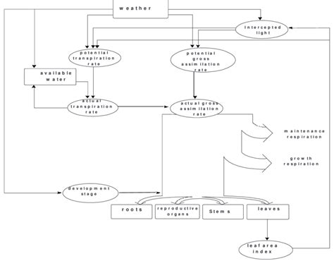 Simplified General Structure Of A Dynamic Explanatory Crop Growth