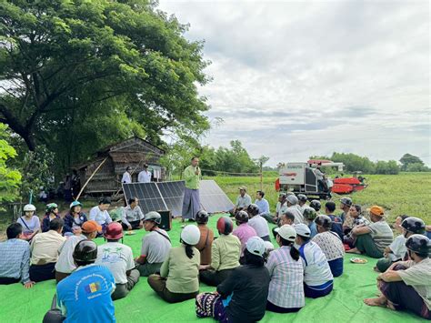 ဝါးခယ်မမြို့နယ်တွင် သုံးသီးစိုက် နှံကောက်စပါးမျိုး စံကွက်ရိတ်သိမ်းခြင်းဆောင်ရွက် Information