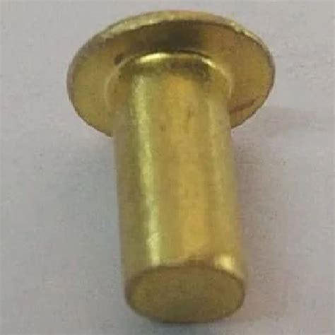 5x8 2mm Mild Steel Flat Head Rivet At ₹ 40 Piece Flat Head Rivets In New Delhi Id 2850223786748
