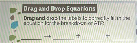 Solved Drag And Drop Equations Drag And Drop The Labels To Correctly Fill In The Equation For T