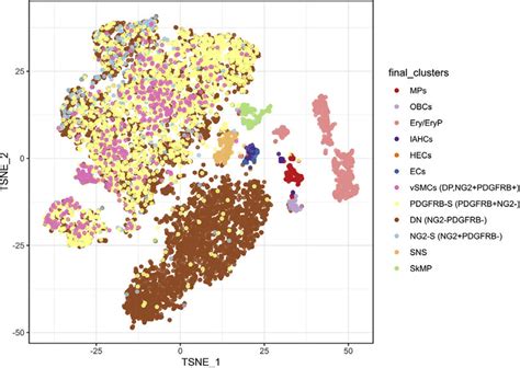 Final WT Cell Type Annotations Following Cell Type Annotation The Download Scientific Diagram