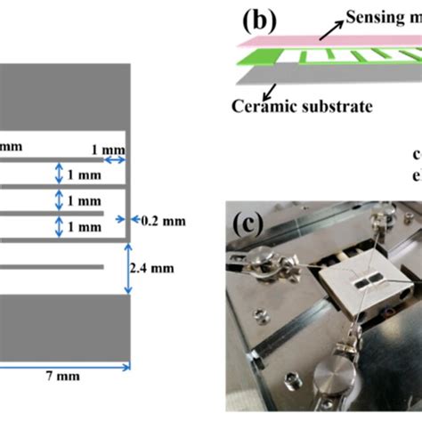 schematic structure of the blank sensor a and the fabricated sensor
