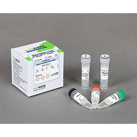 Rocketscript™ Reverse Transcriptase