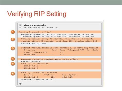 RIP Static Routing Dynamic Routing Protocols Classifying Routing