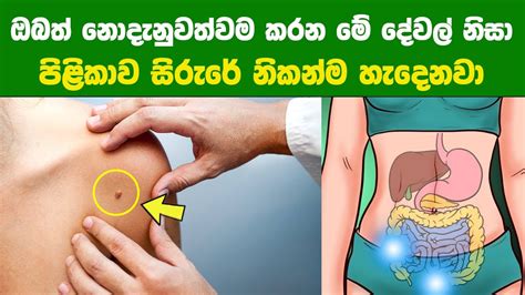ඔබ නොදැනුවත්වම කරන දේවල් නිසා පිළිකා සෛල සිරුරේ නිකන්ම හැදෙන්න පටන් ගන්නවා බේරෙන්න මේ දේවල්