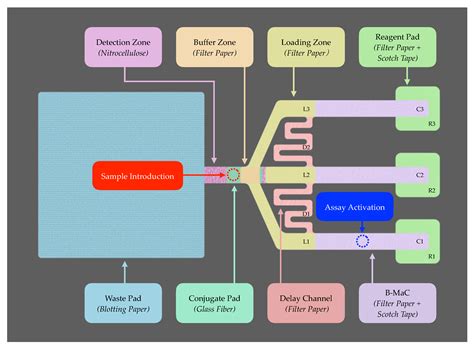 Micro Free Full Text A Microfluidic Paper Based Lateral Flow Device For Quantitative Elisa