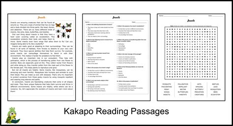 Insects Reading Comprehension And Word Search Teaching Resources
