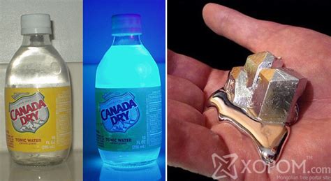 Бодит амьдрал дээрх янз бүрийн сонин хачин зүйлсийн жишээнүүд