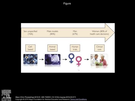 21st Century Womens Health Ppt Download