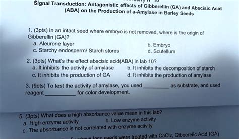 Solved Signal Transduction Antagonistic Effects Of Gibberellin Ga And Abscisic Acid Aba On
