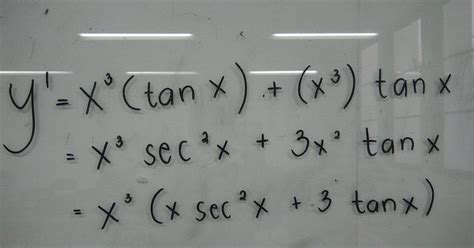 STEM E Basic Calculus