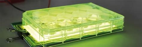 Fraunhofer Uses Oled In Medical Therapy Display Daily