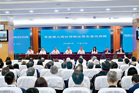 林定國：爭取大灣區律師計劃恆常化 大公報