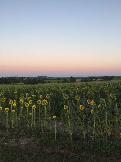 Post 151997159602 Inspired By Tumbex