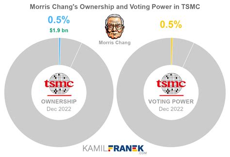 Who Owns Tsmc The Largest Shareholders Overview Kamil Franek Business Analytics