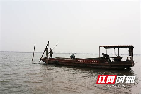 大通湖治理两周年：恢复自由身，水草 疗伤”初见成效凤凰网