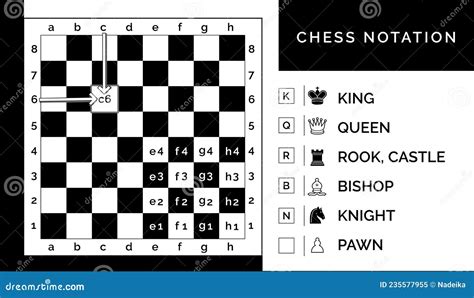 Chess Notation With Letters And Number Stock Vector Illustration Of Black Queen