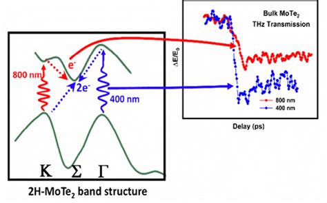 Optical Pump Terahertz Probe Measurements Of Photocarrier Multiplication In 2d Bulk Single