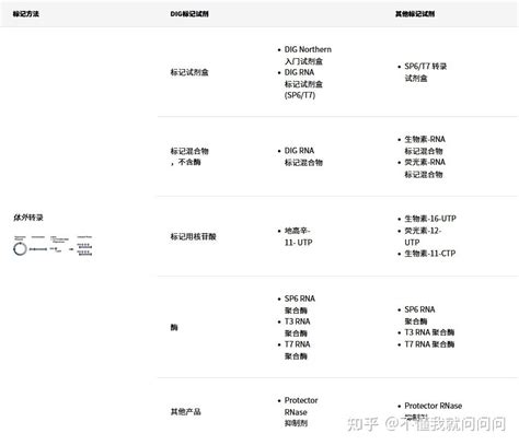 默克生命科学 地高辛 Dig 标记方法 知乎