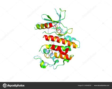 Crystal Structure Tumor Marker Protein Model Biological Macromolecule Stock Illustration By