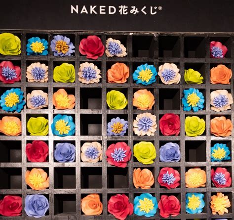 穿上浴衣一起去NAKED夏日祭2024 世界遺產二條城