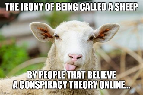 Sheep Joke Memes