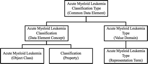 Example Of Cde Structure The Cde Structure For A Data Element