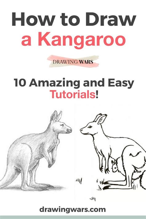 10 Amazing And Easy Step By Step Tutorials Ideas On How To Draw A Kangaroo With Pencils And