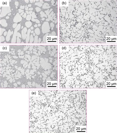 Figure 1 From Di ﬀ Erential Scanning Calorimetry Fingerprints Of