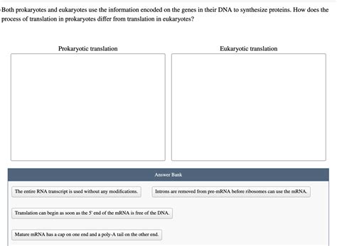 Solved Both Prokaryotes And Eukaryotes Use The Information