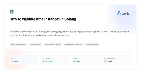 How To Validate Time Instances In Golang Labex