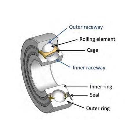 Understanding Angular Contact Ball Bearings A Comprehensive Cross Section Guide Amigo