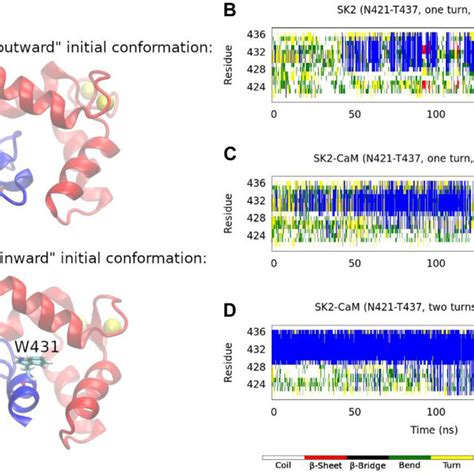 Secondary Structure Analysis Of The Simulations Starting From Two Download Scientific Diagram