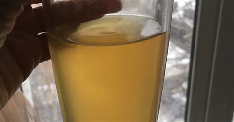 Медовуха рецепт с фото пошаговый от Мария 🏃‍♂️ Овкусе ру