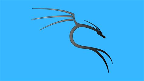 Automating Kali Linux Installations A Guide For Efficient Pentesters