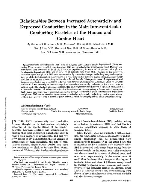 Pdf Relationships Between Increased Automaticity And Depressed