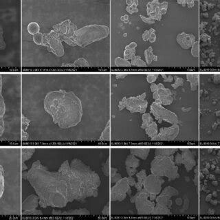 FE SEM Characterization Of High Energy Expansion Agent Download Scientific Diagram