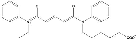 260430 02 2 Cyanine 2
