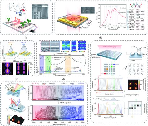 Different Metasurfaces For Surface Enhanced Infrared Absorption Download Scientific Diagram